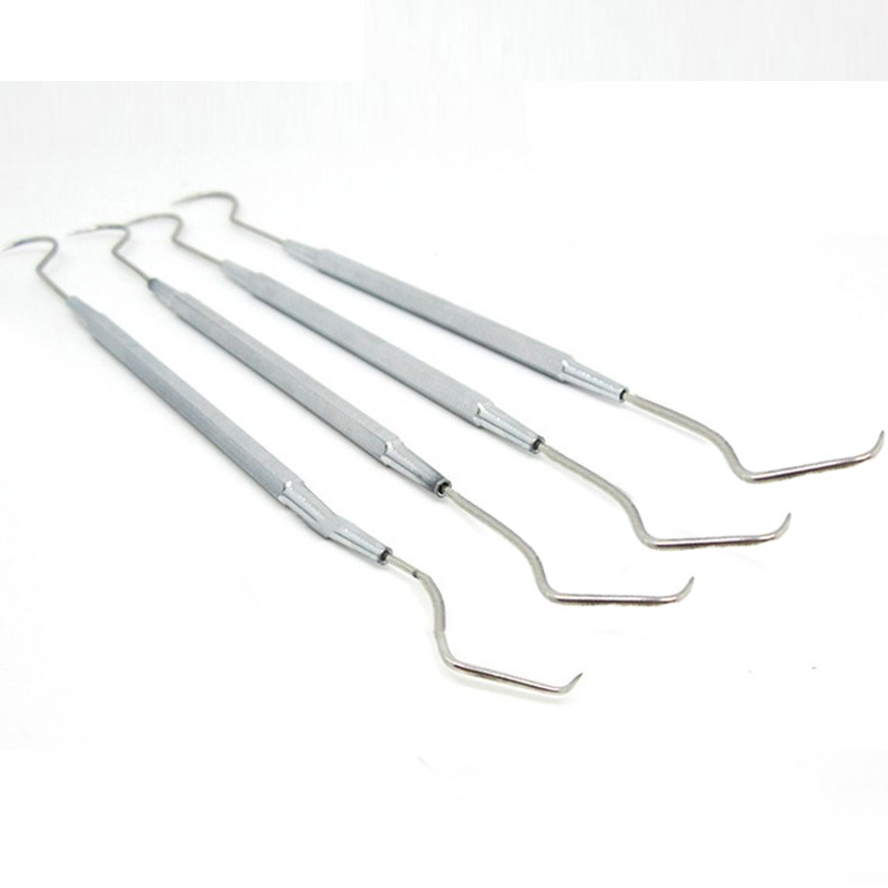 Buy Stainless Dental Picks Dental Tool Set Kit Dentist Teeth Clean ...