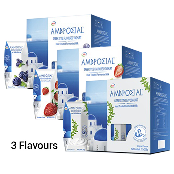 Buy [Carton Sale - 12 x 205g] Yili Ambrosial Greek Style Flavoured Yoghurt Tetra Pack - Original ...