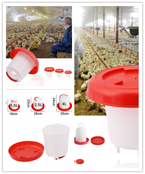Buy Robust Plastic Chicken Quail Poultry Hen Drinker Food Feeder ...